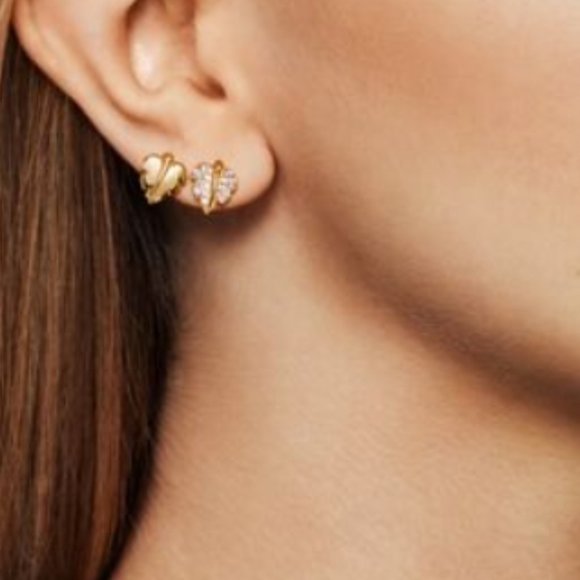 Pandora | Jewelry | Pandora Shining Sparkling Leaf Stud Earrings | Poshmark